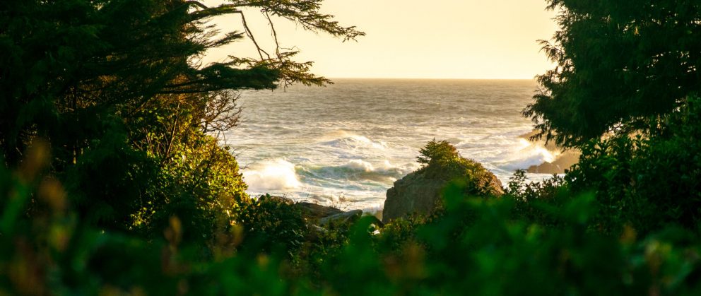 About Ucluelet - Tourism Ucluelet