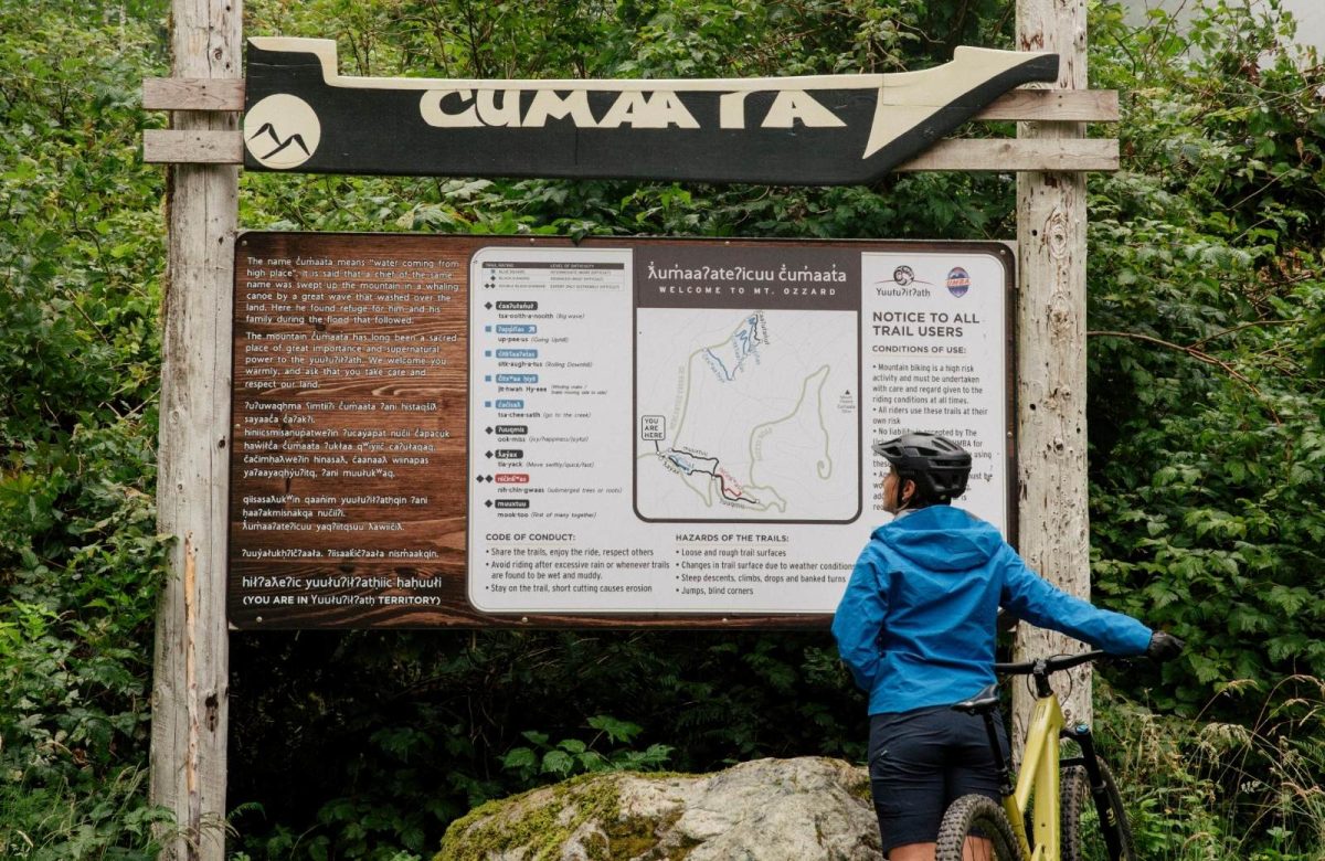 Pedal Through Paradise: Mountain Biking in Ucluelet - Tourism Ucluelet