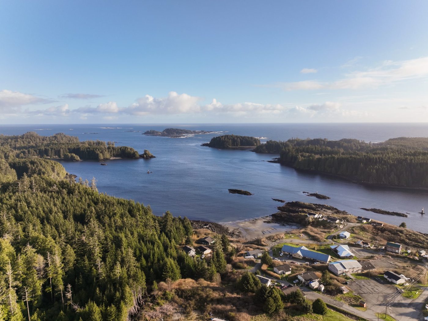 Pacific Rim Whale Festival | Ucluelet BC